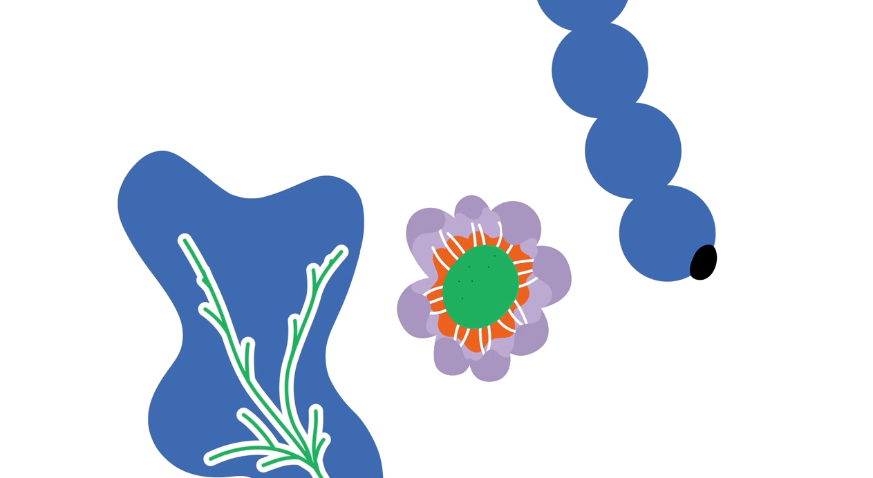 Nature edition: Meet the artist Perrine Honoré – Opinel New Zealand